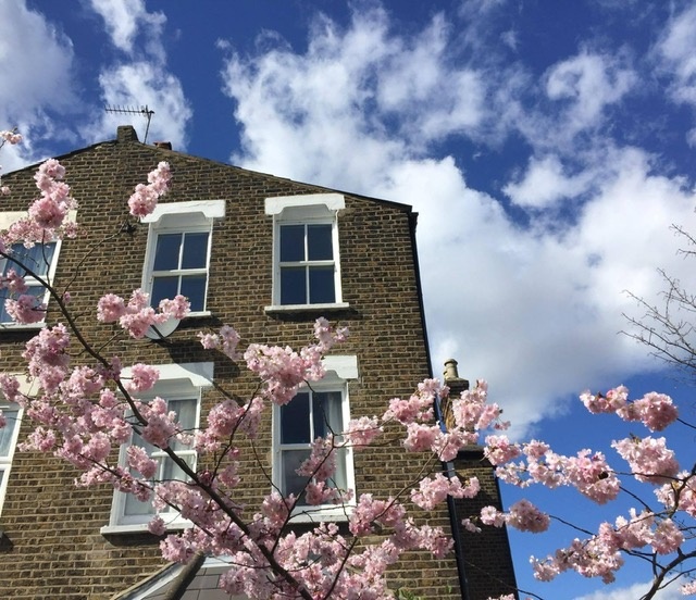 London Se14 5Nj - 3 Bed Flat, Jerningham Road, SE14 - To Rent Now for £ ...