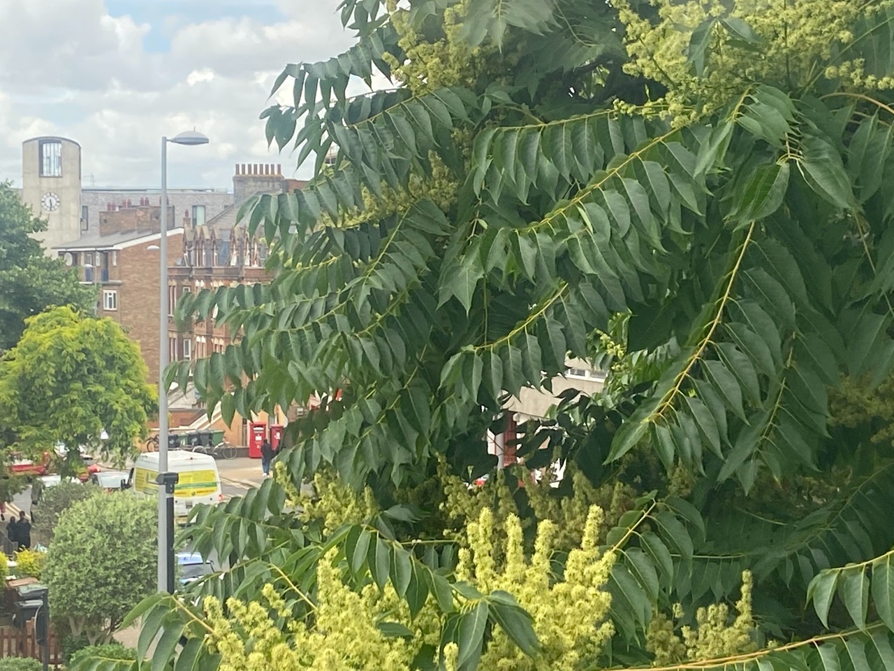 London - 2 Bed Flat, Church Hill, E17 - To Rent Now for £1,700.00 p/m