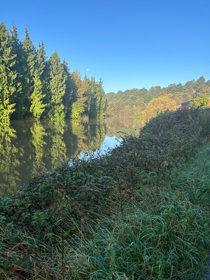 Bristol - Room in a Shared House, Butlers Walk, BS5 - To Rent Now for £500.00 p/m