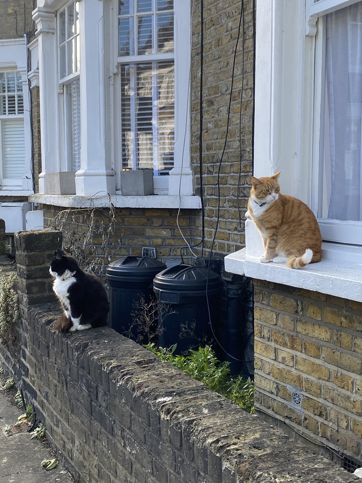 Wandsworth Town, London - 1 Bed Flat, Denton Street, SW18 - To Rent Now ...