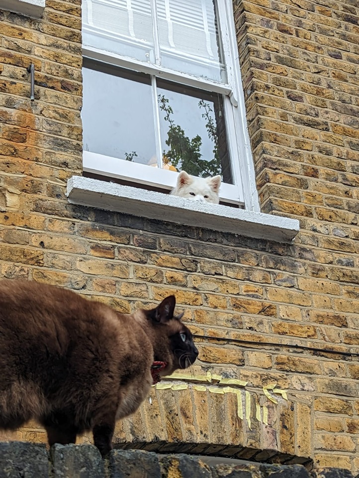 Wandsworth Town, London - 1 Bed Flat, Denton Street, SW18 - To Rent Now ...