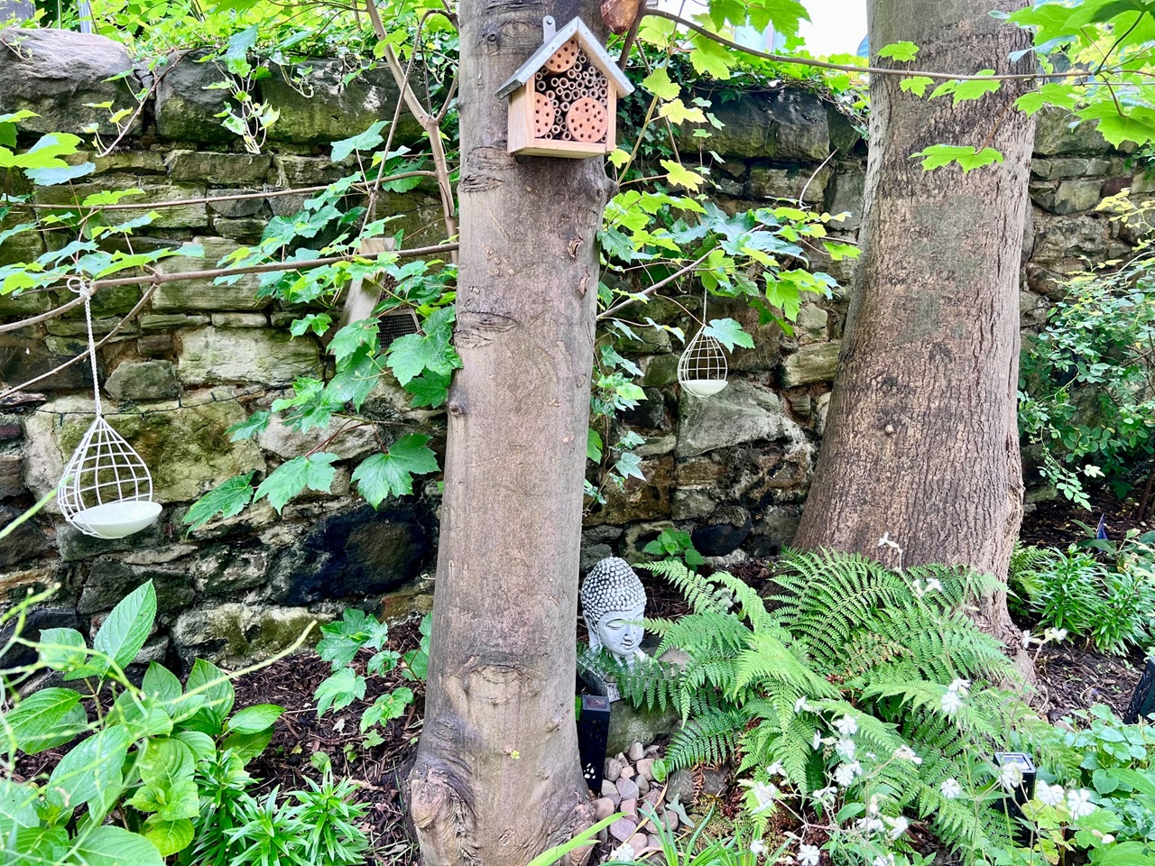 Edinburgh - 1 Bed Flat, West Norton Place, EH7 - To Rent Now for £1,100.00 p/m