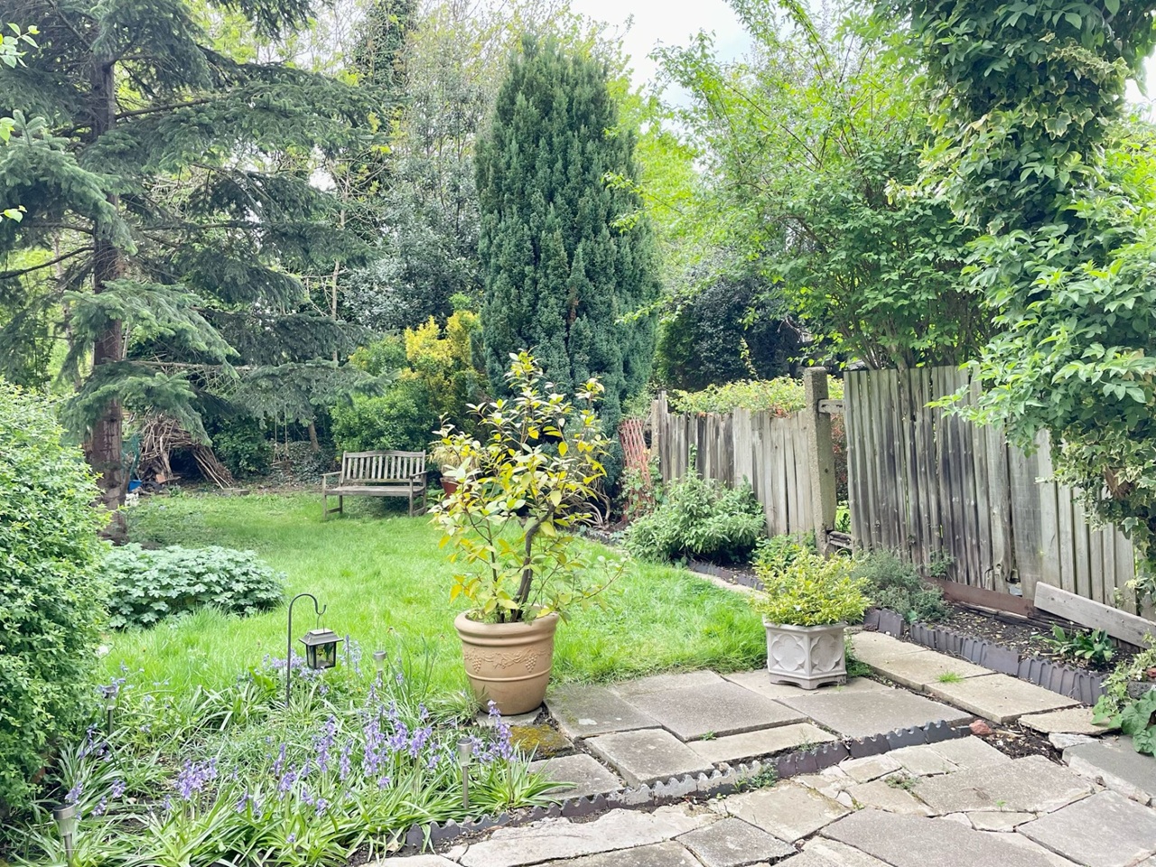 London - 1 Bed Flat, Queen Elizabeths Walk, N16 - To Rent Now for £ ...