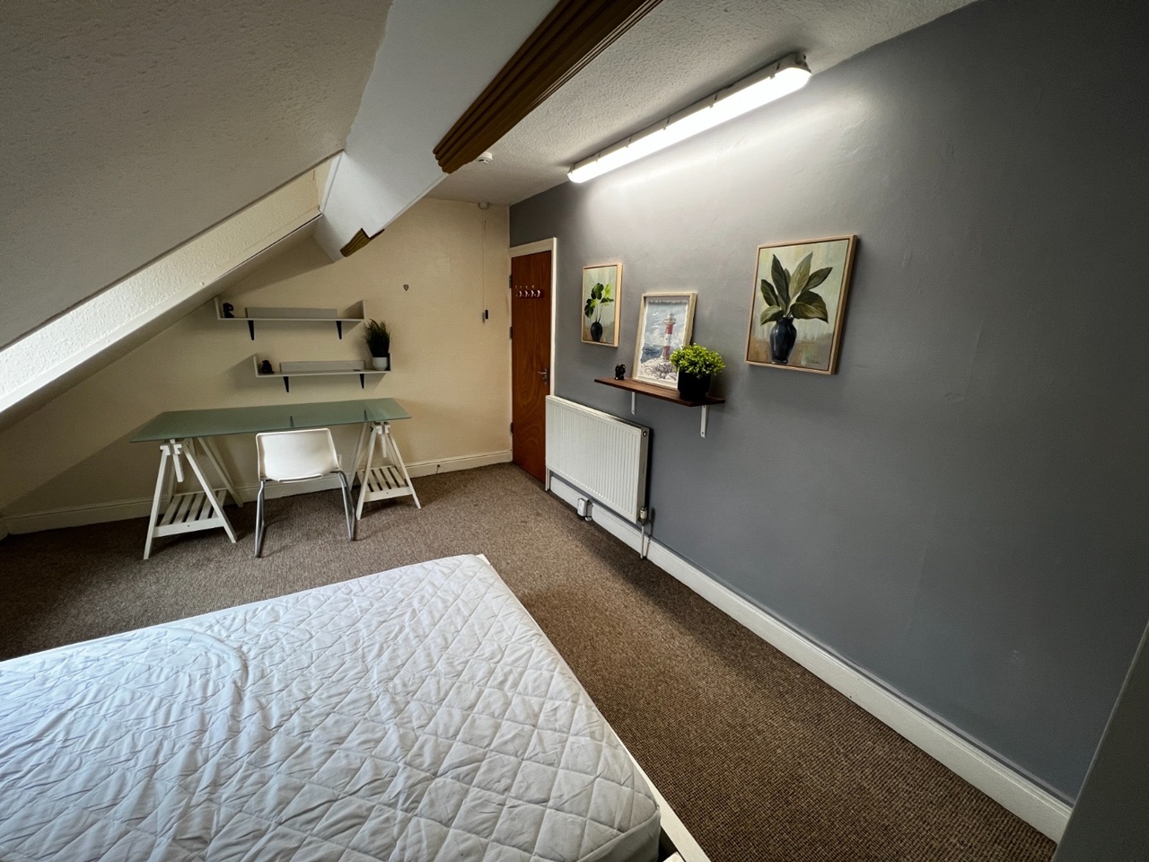 Leicester - Room in a Shared House, Brazil Street, LE2 - To Rent Now ...