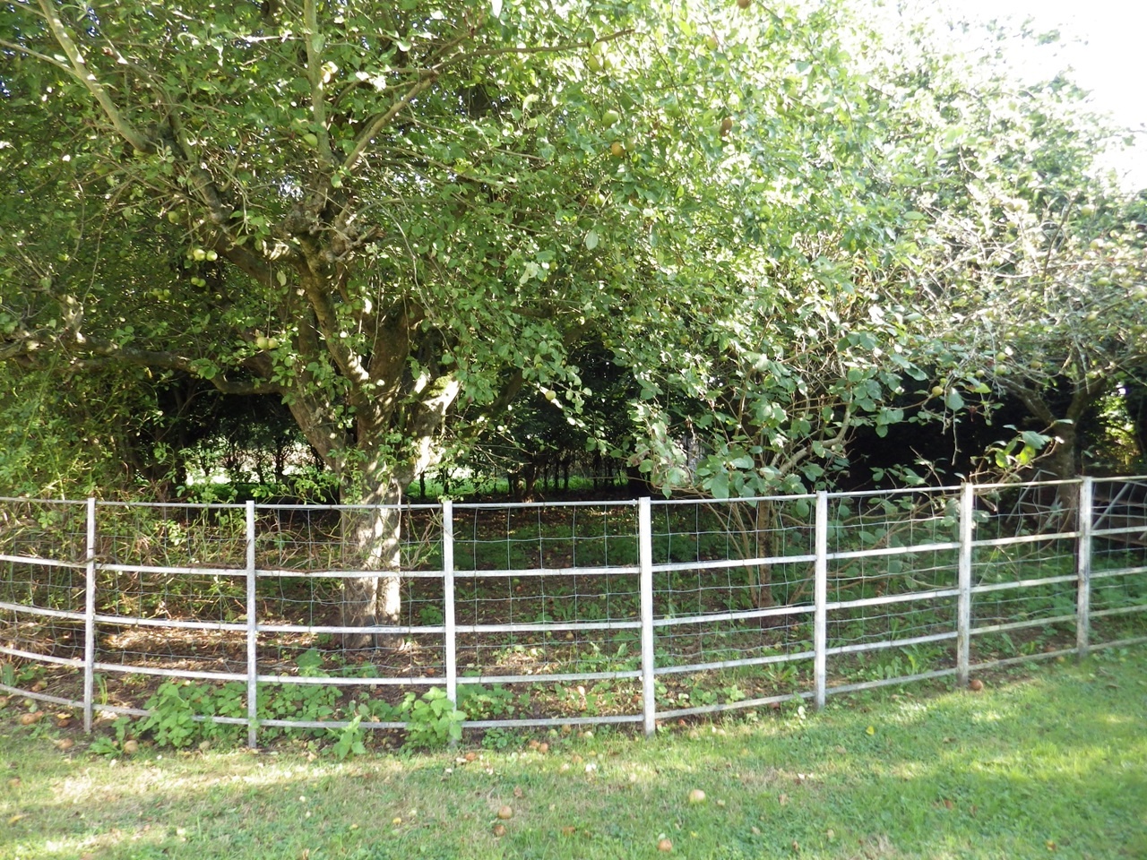 Huntworth, Bridgwater - 3 Bed Detached House, Huntworth Park, TA7 - To ...