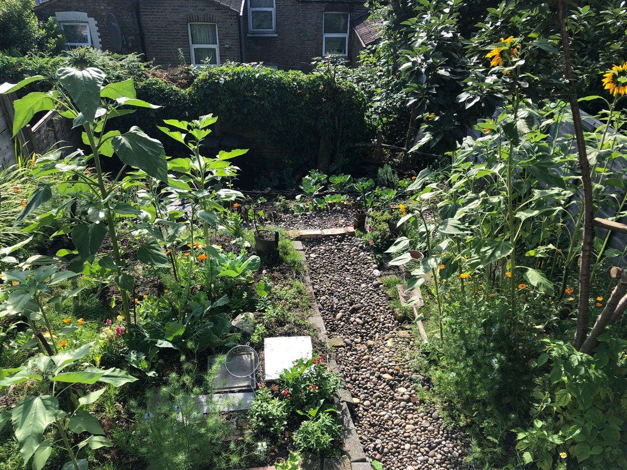 London - 1 Bed Flat, Sladedale Road, SE18 - To Rent Now for £1,500.00 p/m