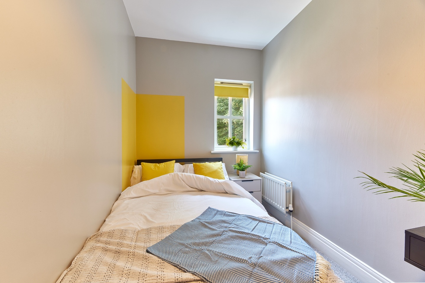 Newcastle Upon Tyne - Room in a Shared House, Lillico House, NE2 - To ...