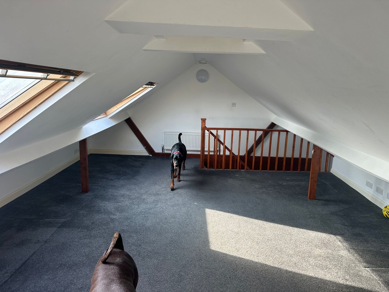 Bristol - 2 Bed Flat, Bonnington Walk, BS7 - To Rent Now for £1,250.00 p/m