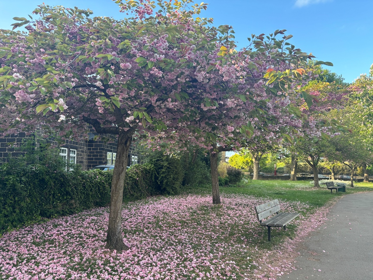 Leeds - 4 Bed Semi-Detached House, Calverley, LS28 - To Rent Now for £ ...