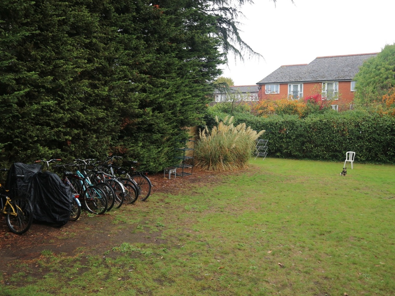 London - 1 Bed Flat, Hanger Lane, W5 - To Rent Now for £1,695.00 p/m