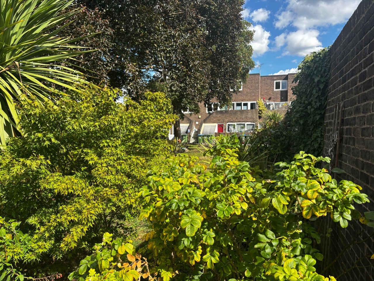 London - 1 Bed Flat, Hervey Road, SE3 - To Rent Now for £1,600.00 p/m