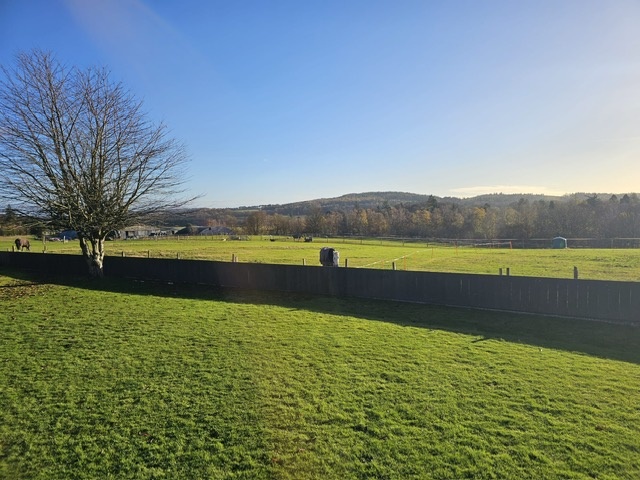 Milltimber - 4 Bed Detached House, North Deeside Road, AB13 - To Rent ...