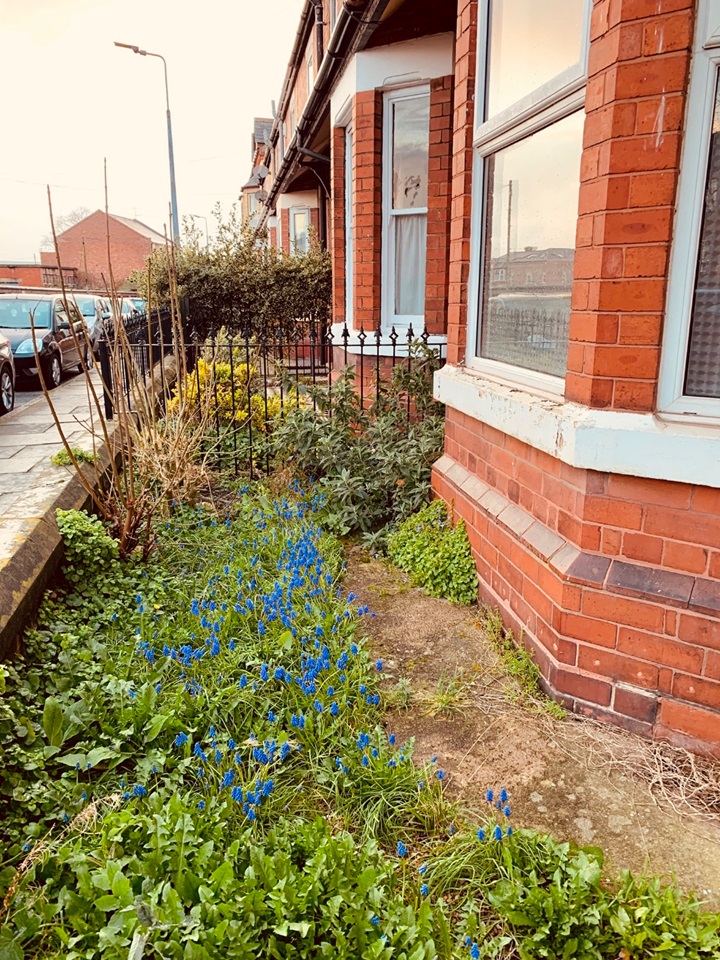 Hoole, Chester - 3 Bed Terraced House, Lightfoot Street, CH2 - To Rent ...